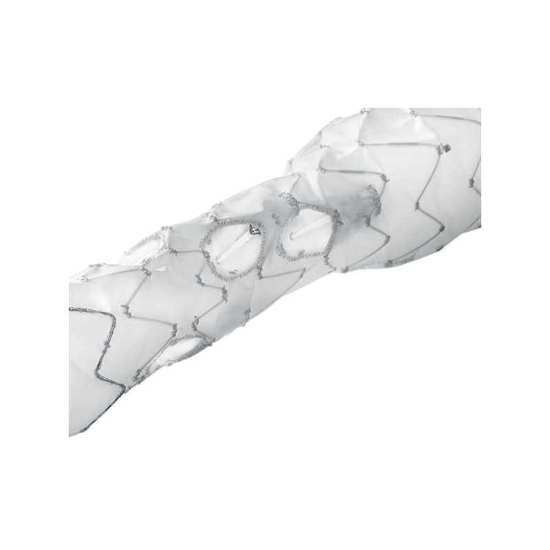 E-nside TAAA Thoracoabdominal Endoprosthesis | Tunisia