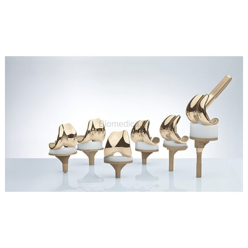 Knee prosthesis | Biomedica Tunisia