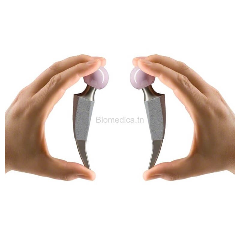 hip prosthesis | Biomedica Tunisia