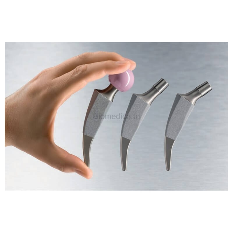 hip prosthesis | Biomedica Tunisia