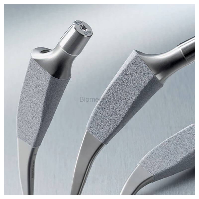 hip prosthesis | Biomedica Tunisia